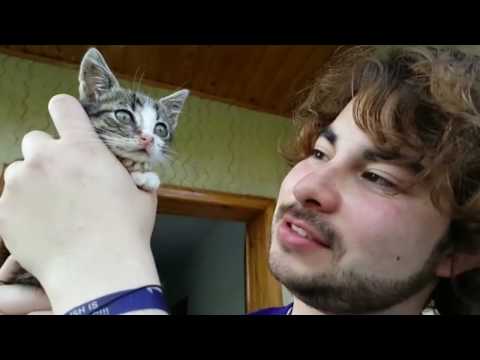 English is Fun...tastic! (new family member)
