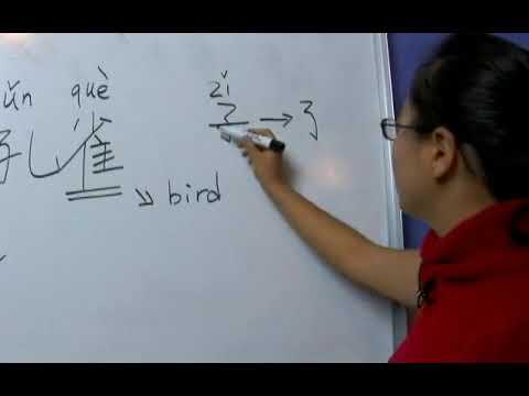 How to Write "Peacock" in Chinese Symbols