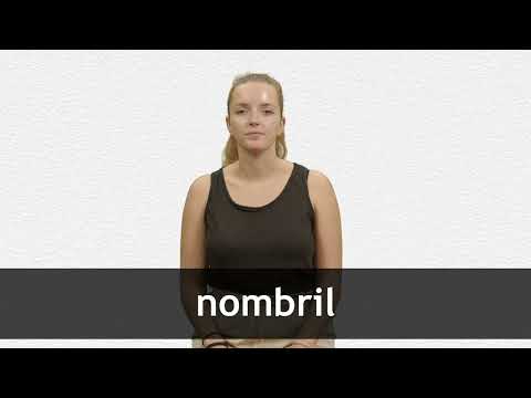 English Translation of “NOMBRIL” | Collins French-English Dictionary