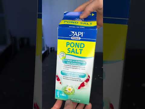How to hatch brine shrimp