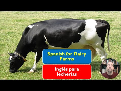 Dairy Spanish / Inglés para lecherías