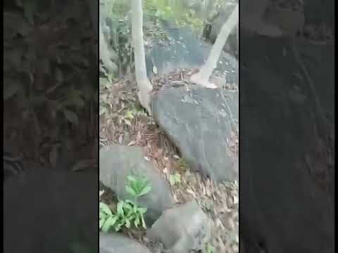 treasure hunt tamil