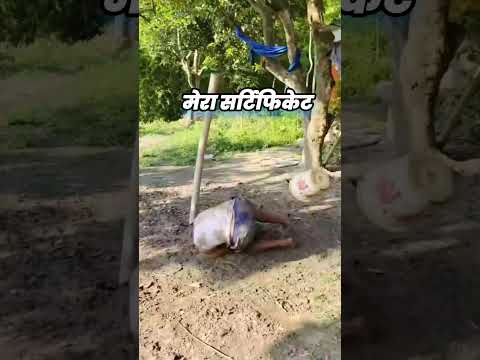 SARAL HARYANA #SARAL_HARYANA #haryana_cet #haryanacetexam #haryana_cet #shorts #shortsviral