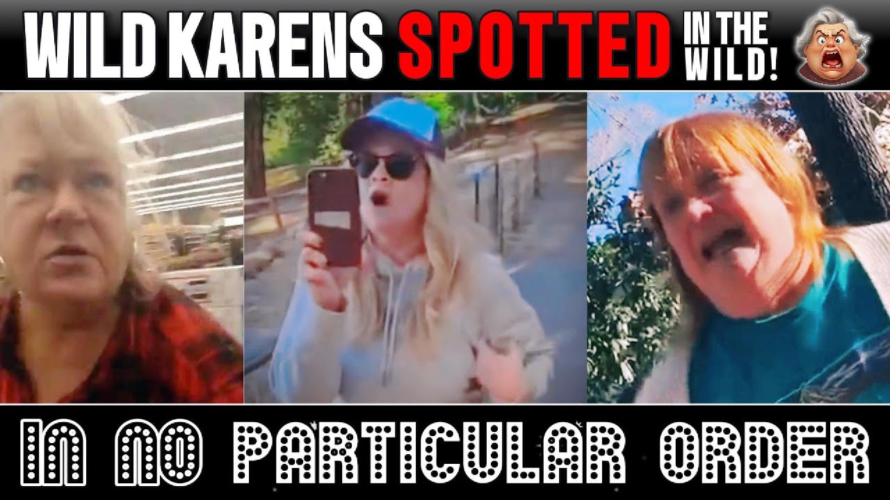 Another Top 10 Craziest KARENS Caught on Camera!