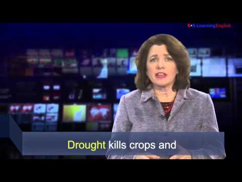 News Words: Drought
