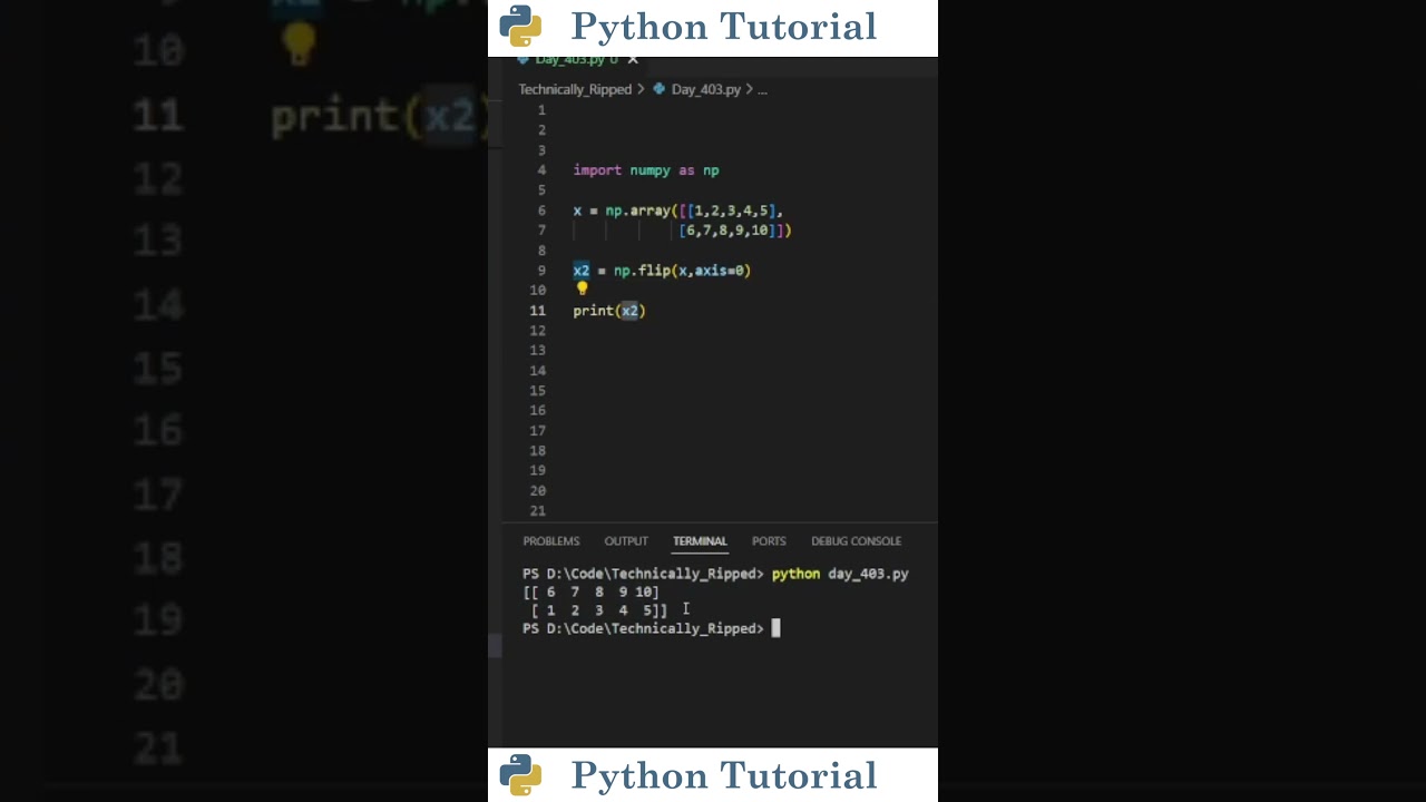 How To Flip 2D Numpy Arrays | Python Tutorial