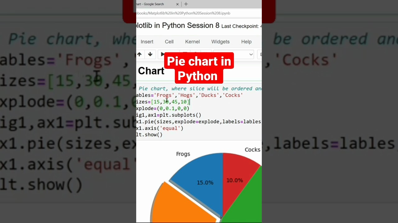 Pie chart in Python