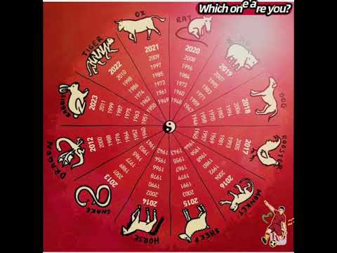 Football + Chinese zodiac sign