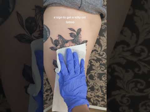 Fluffy cat tattoo reveal #tattoo #neotraditionaltattoo #art #cat #tattoos #tattooartist