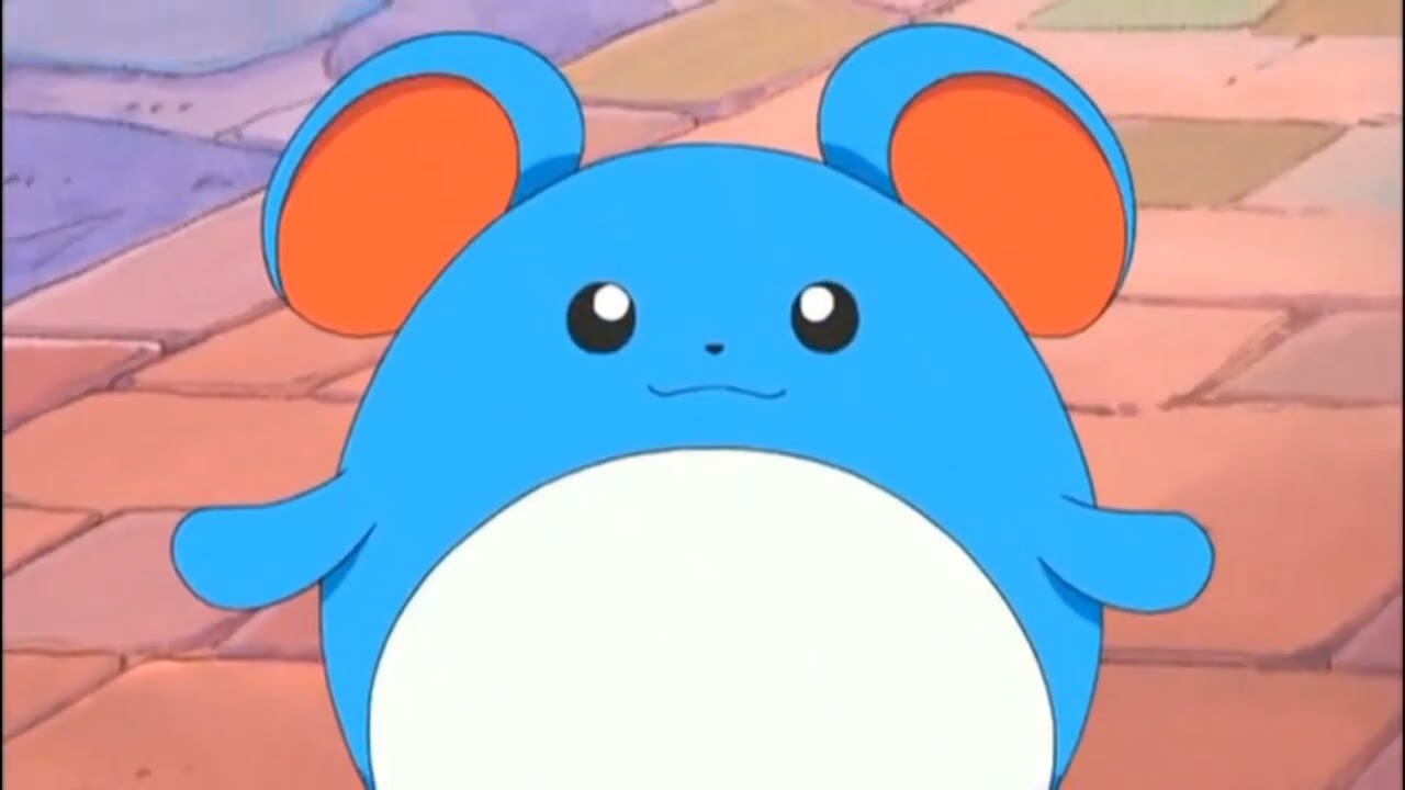 Azurill, Marill, and Azumarill Pokédex Entries..wmv