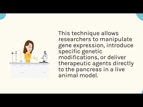 Pancreas In Vivo Transfection Reagent