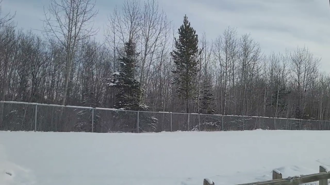 Blueberry School - Parkland - Stony Plain 