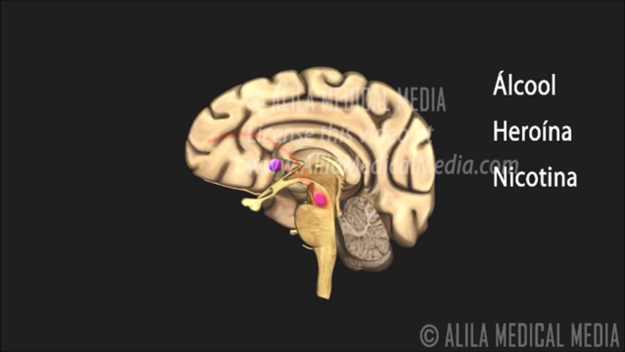 Drogas Estimulantes