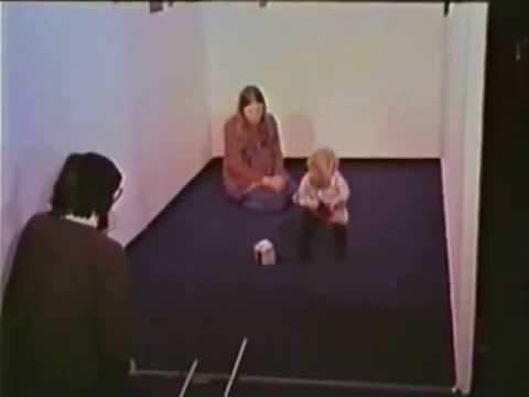 David Lee - Optic flow and moving room - 1974