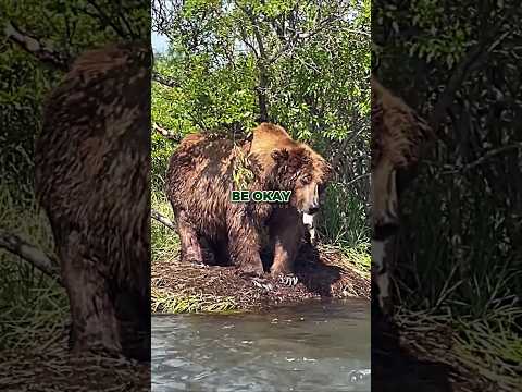 Joe Rogan on Why Hunting Grizzly Bears is Crucial