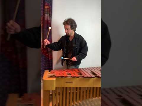 Europe - The Final Countdown Mallet Instrument Test!