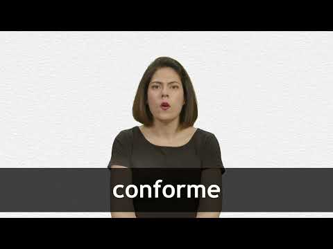 English Translation of “CONFORME” | Collins Spanish-English Dictionary