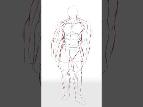 Exaggerating the Male Body - Quick Art Tips #art #sketch #shorts #tutorial #drawingtutorial #anime