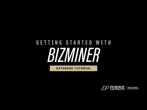 Getting Started with Bizminer