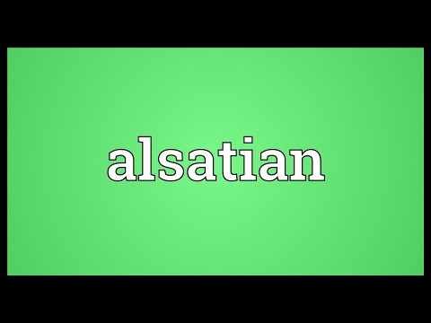 Alsatian Meaning