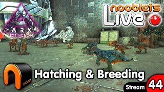 Steam Community :: Nooblets :: Videos