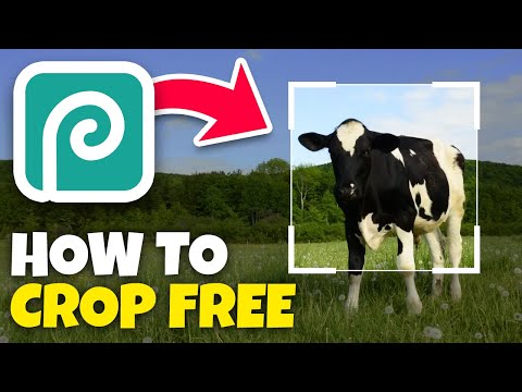 How to Crop an Image or Photo Using Photopea for Free (NO PHOTOSHOP) - Quick Guide