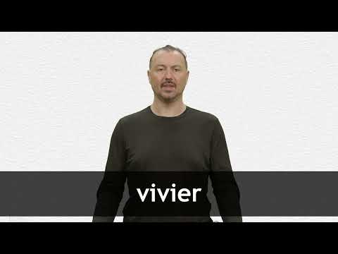 How to pronounce VIVIER in French