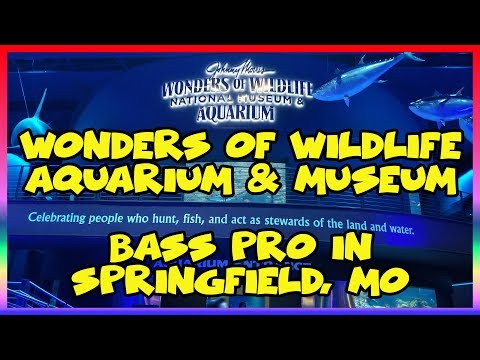 Wonders of Wildlife National Museum at Bass Pro- Springfield Missouri- Sir Willow's Park Tales Ep 54