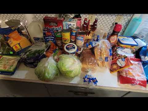 Low budget grocery haul/ single mom/ $108 for the week!