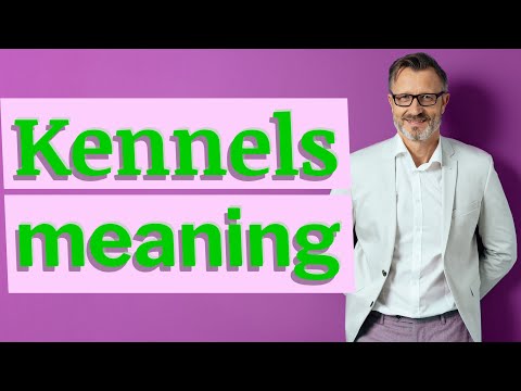 Kennels | Meaning of kennels 📖 📖 📖 📖