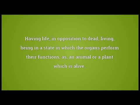 Alive Meaning