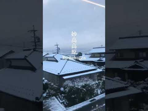 Myokokogen 妙高高原 日本 മയോകോ കോഗൻ Nigata Japan #nigata #japan #myoko #myokokogen