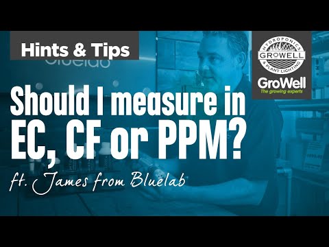 Should I measure in EC, CF or PPM? ft James from Bluelab | Hints & Tips