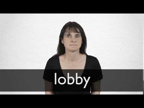 LOBBY 释义 | 柯林斯英语词典