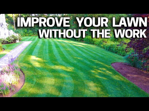 What HUMIC ACID can do for your LAWN