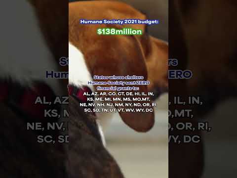 The Humane Society of the US did not send a single financial grant to shelters in 32 states #shorts