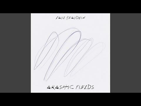 akashic fields
