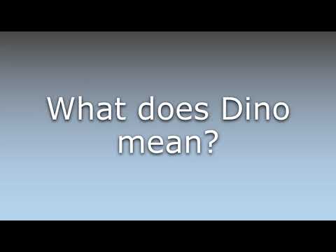 What does Dino mean?