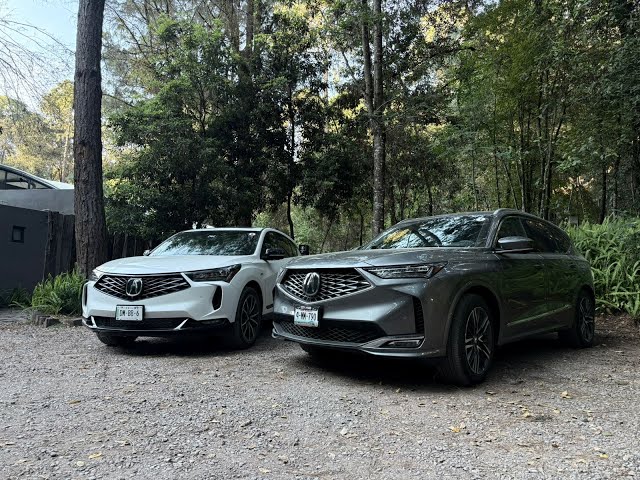 como es el chasis de un auto