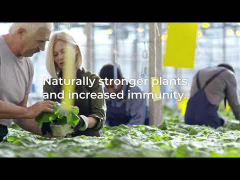 Our Produce – OPPAZ