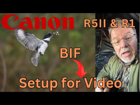 Canon R5 II + R1: Video setup for birds in flight