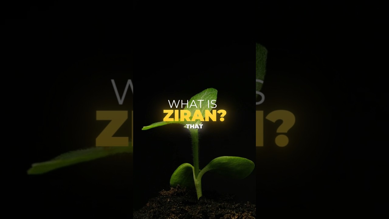 What is Ziran?
