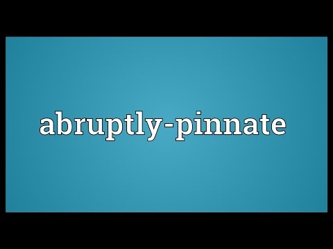 Abruptly-pinnate Meaning