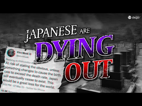 Why Japan is the Most Difficult Country to Have Children | The Shrinking Population