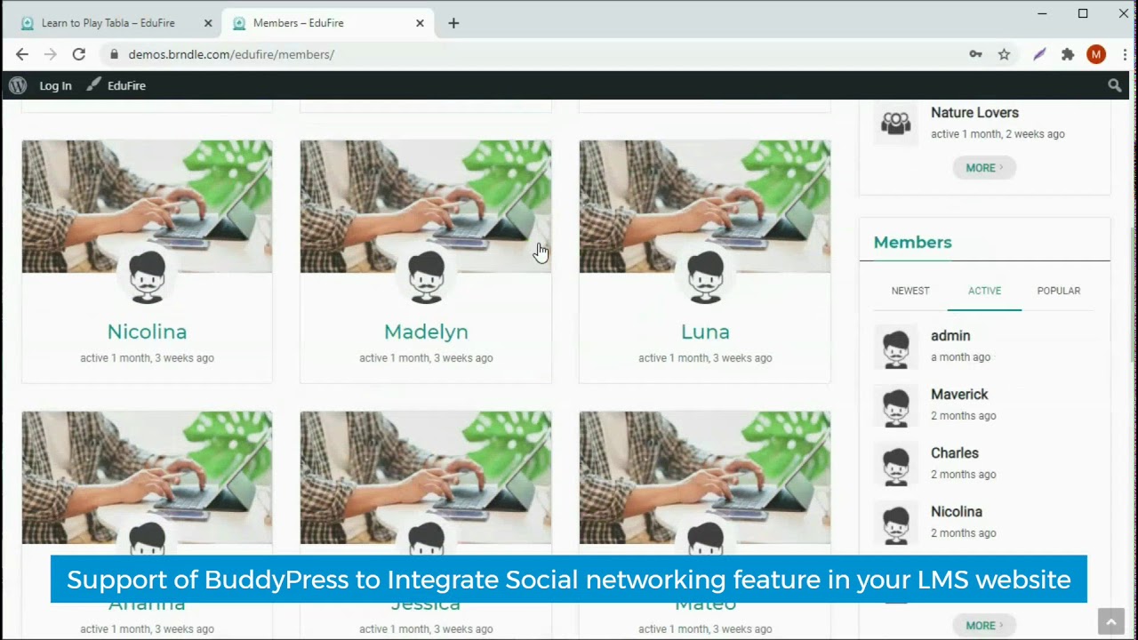 Edufire WordPress Education Theme - Create an Ultimate eLearning Website Within Few Minutes