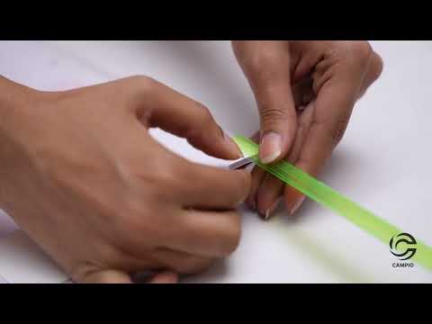 Flipkart.com | CAMPIO Plastic Transparent Stick File Folder/ Strip File ...