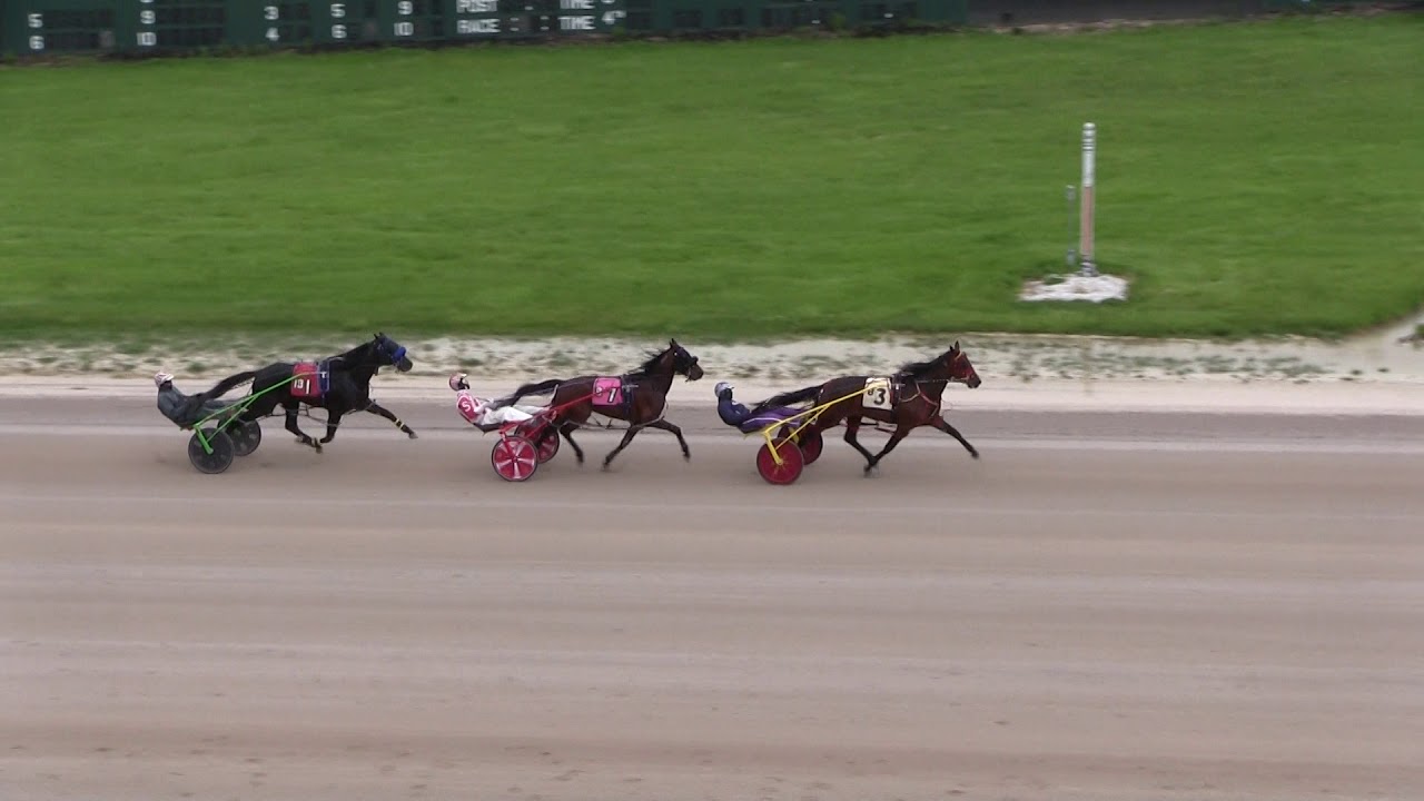 Eldorado Scioto Downs Qualifier #8  May 20, 2020