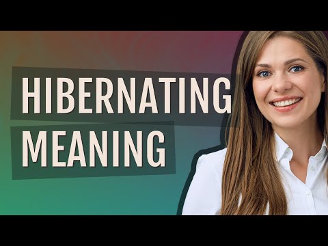 Hibernating | meaning of Hibernating