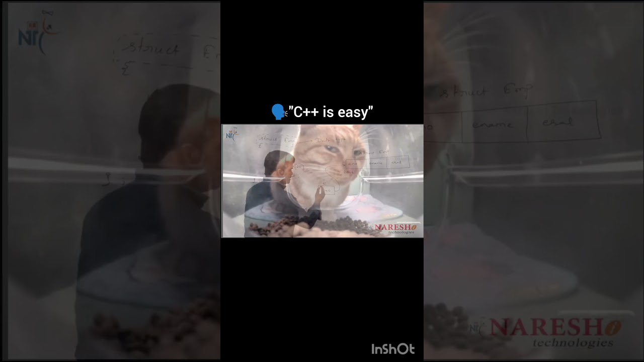 Internal pointer variable #memes #funny @mateuszmazur2336 @yadrogreenscreen